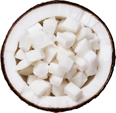 Coco Bits Original 56g | Genuine Coconut
